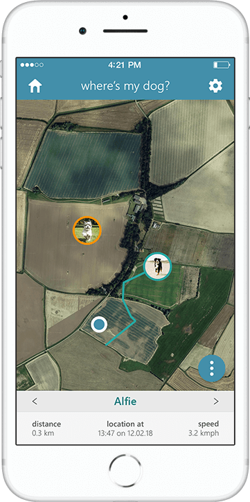 Dog Tracker Nano: Best GPS Tracking Collar For Your Dog