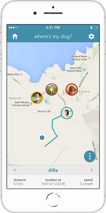 Dog Tracker Nano: Best GPS Tracking Collar For Your Dog