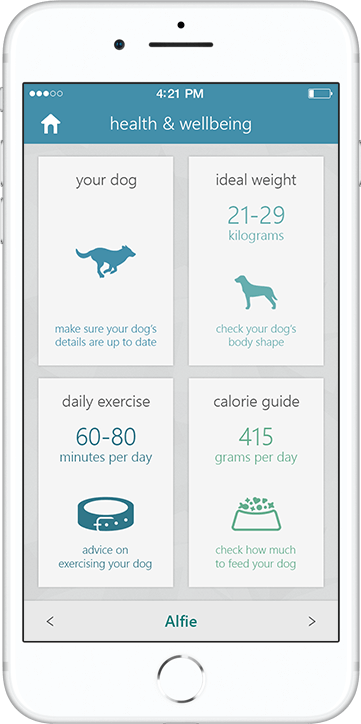 Dog Tracker Nano: Best GPS Tracking Collar For Your Dog